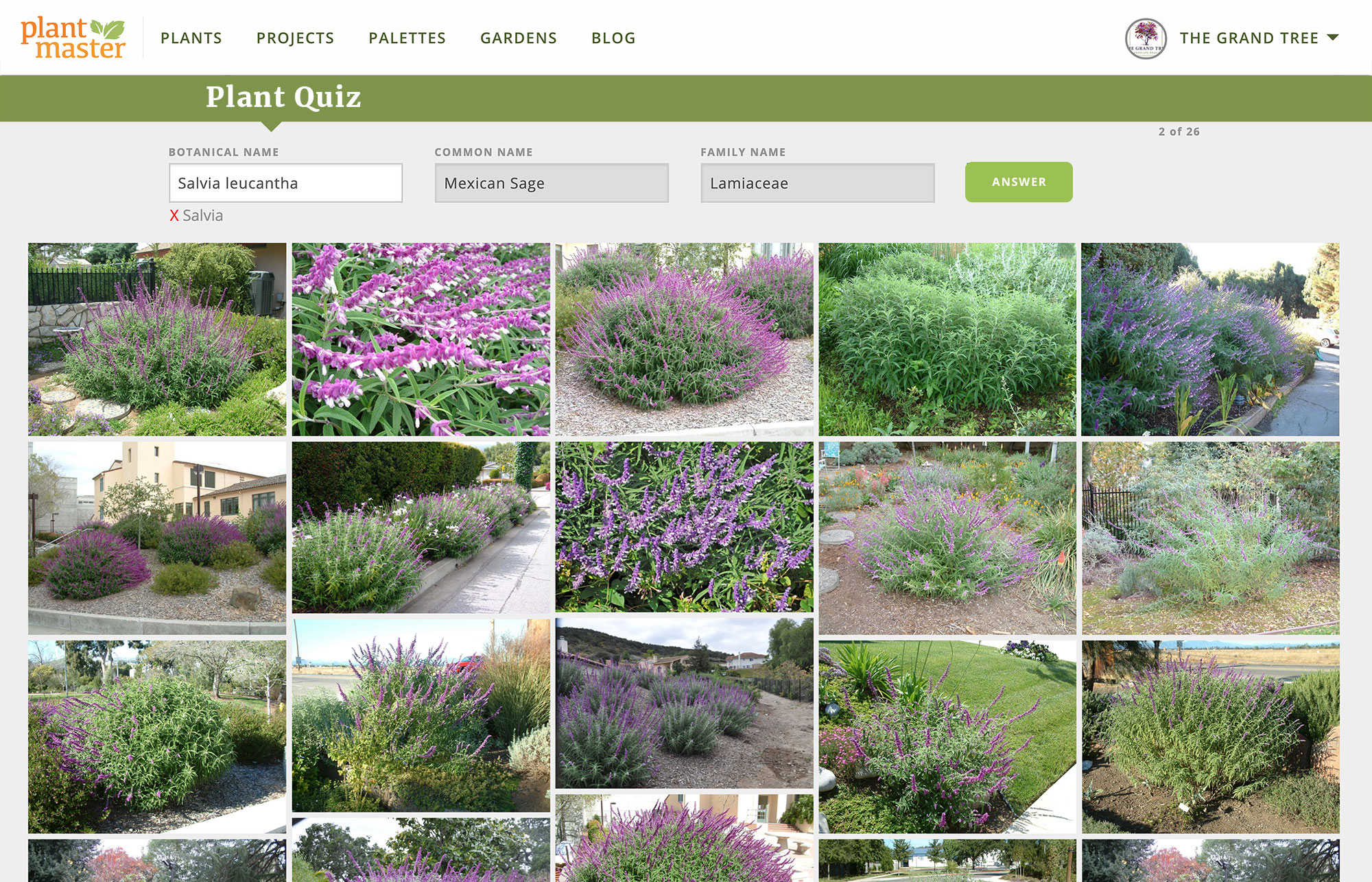 Beyond The Classroom - PlantMaster for College Instructors